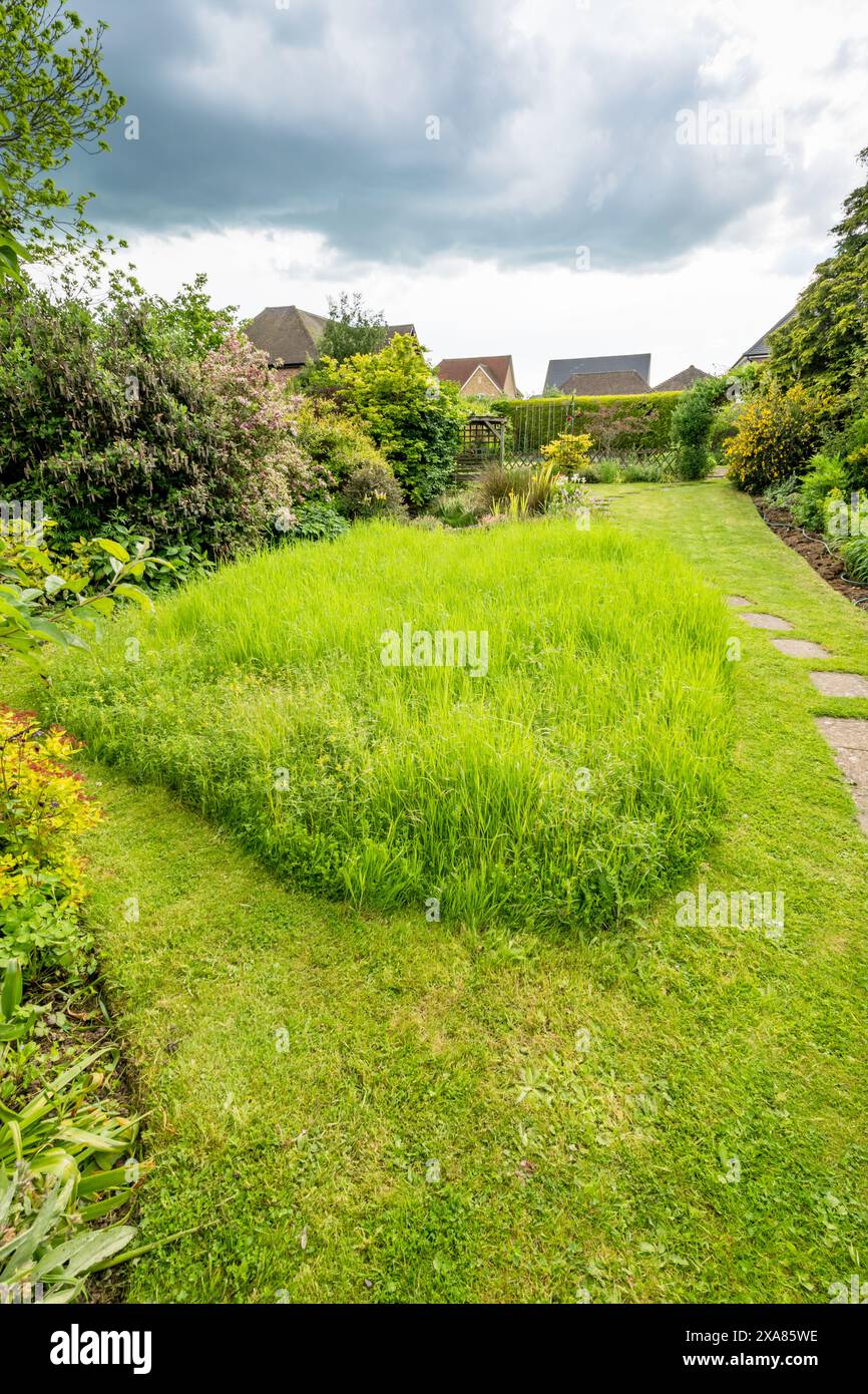 No mow may in hi-res stock photography and images - Alamy