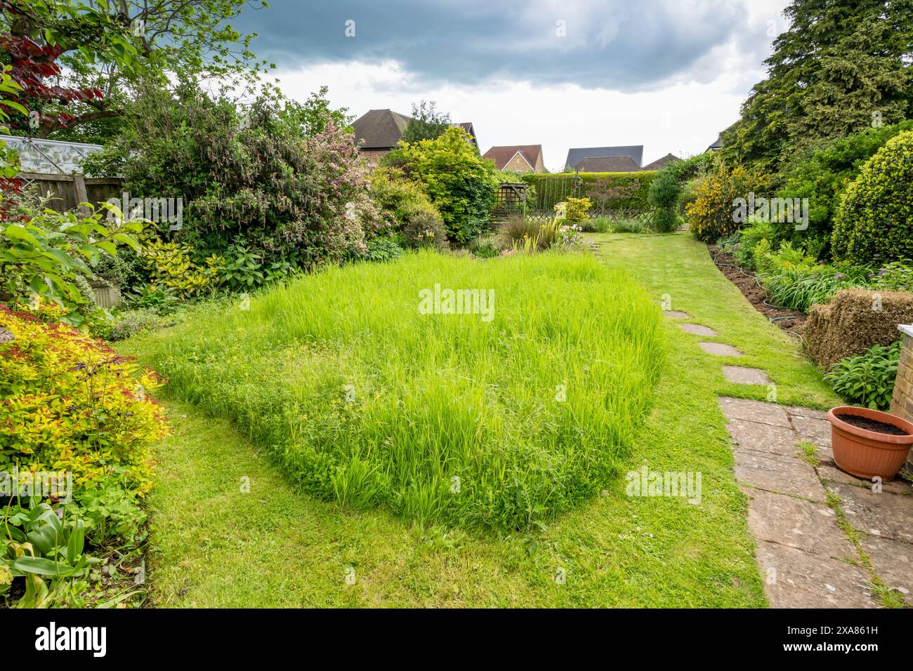 Unmown hi-res stock photography and images - Alamy