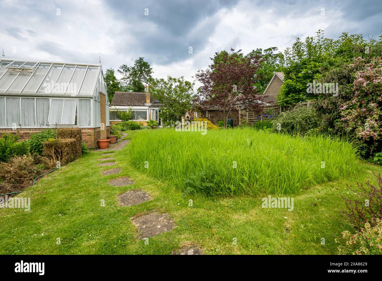 Unmown grass hi-res stock photography and images - Alamy