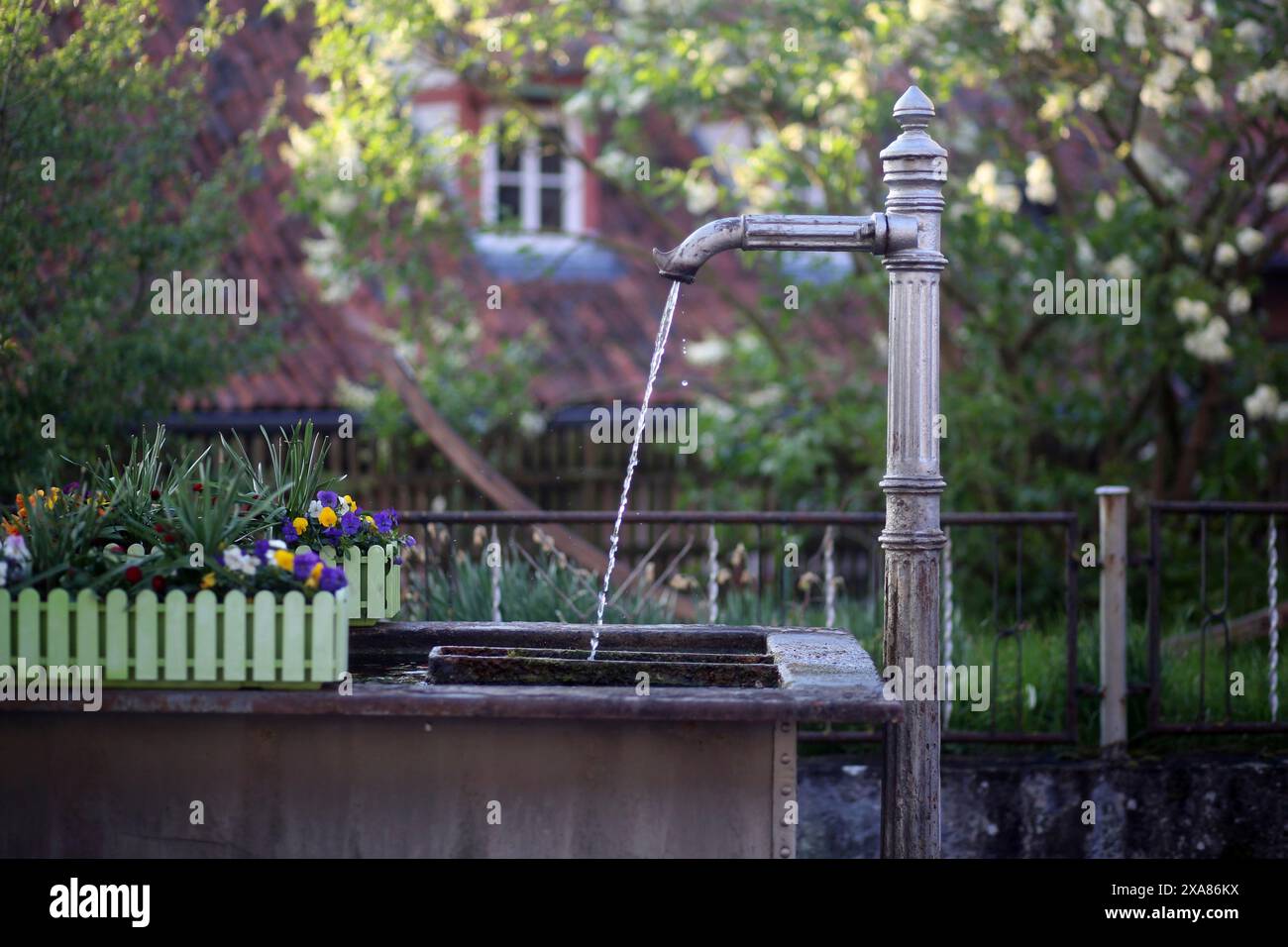 Water flowing from a public pump Thuringia. Ummerstadt, Germany Stock ...