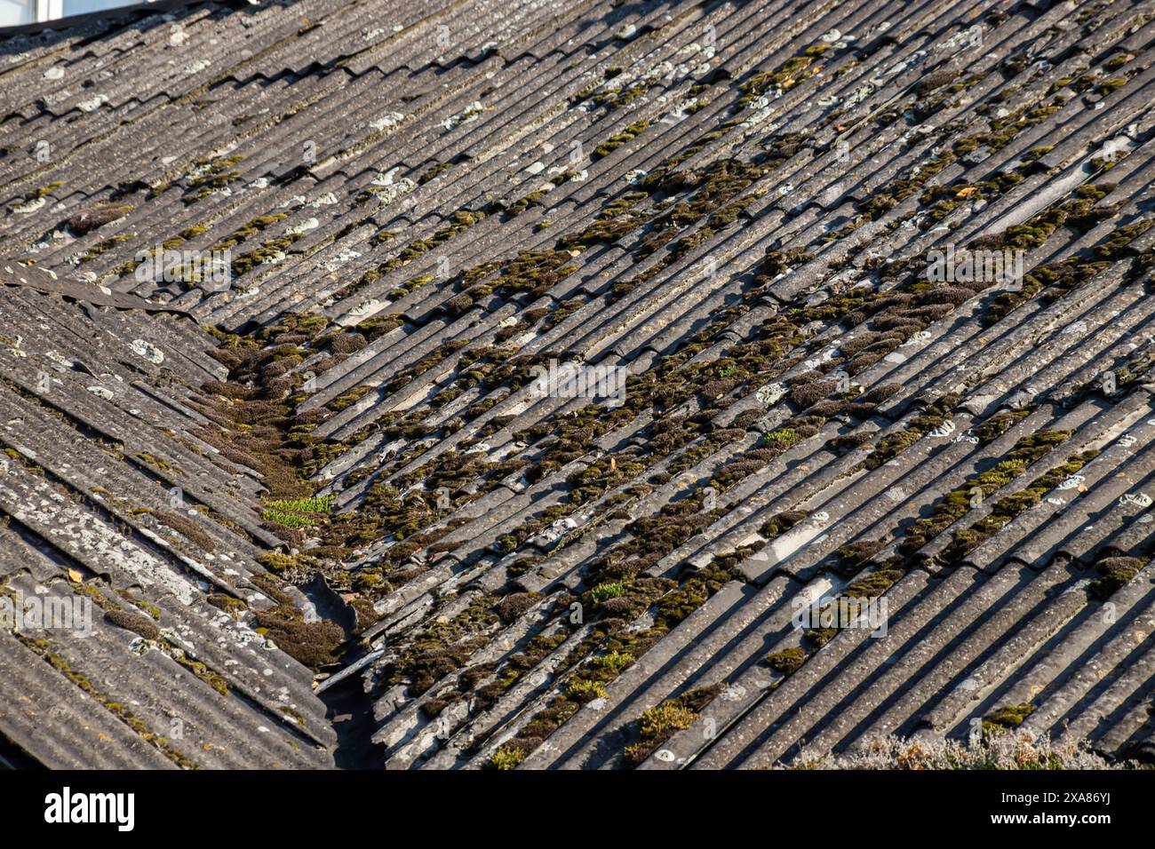 Moss roof hi-res stock photography and images - Alamy