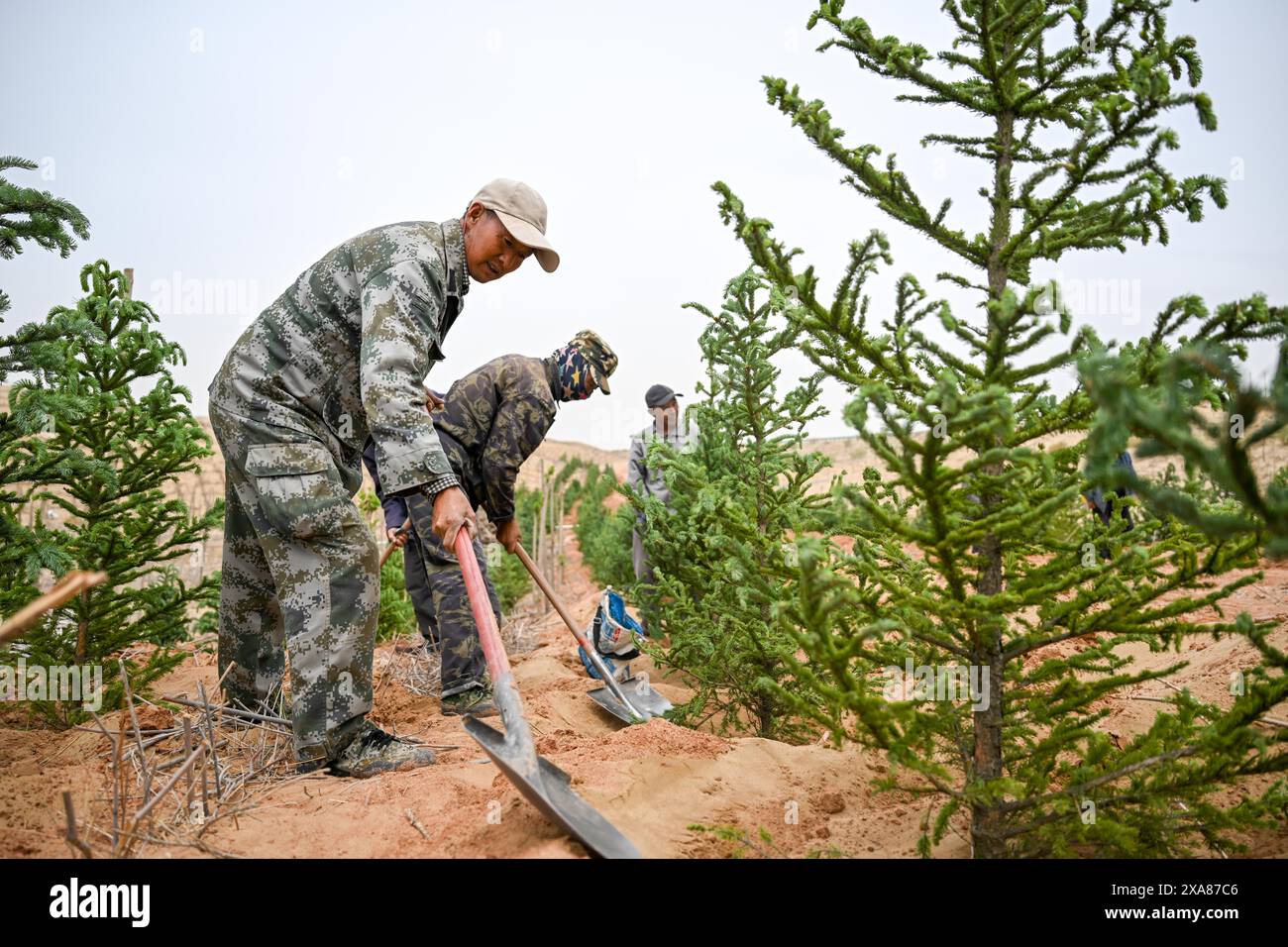 Hohhot, China's Inner Mongolia Autonomous Region. 29th May, 2024 ...