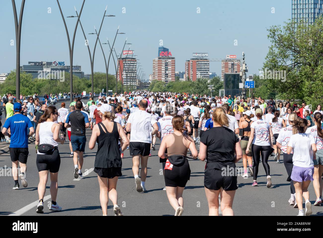 Large group of runners in The 2024 Belgrade marathon running over ...
