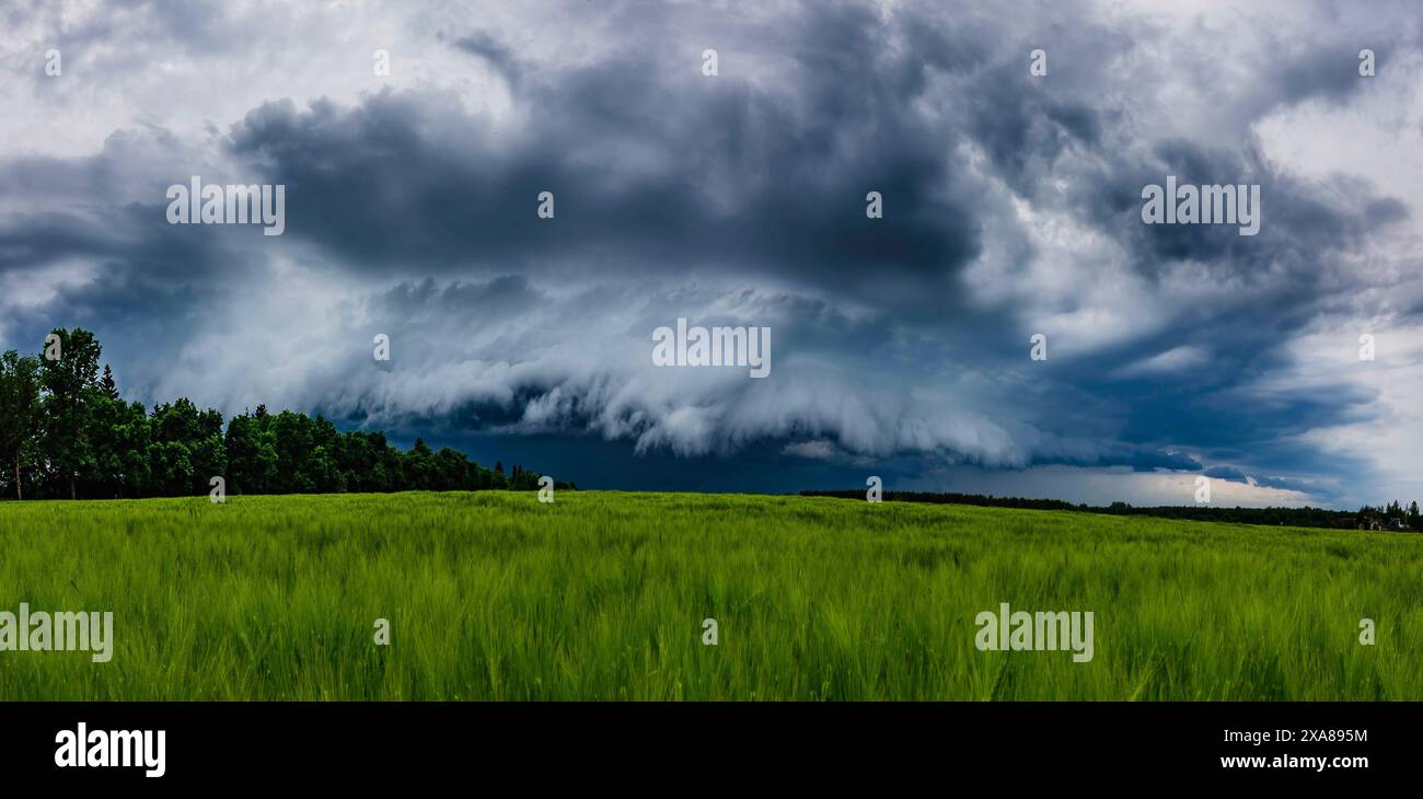 Storm clouds over field, tornadic supercell, extreme weather, dangerous ...