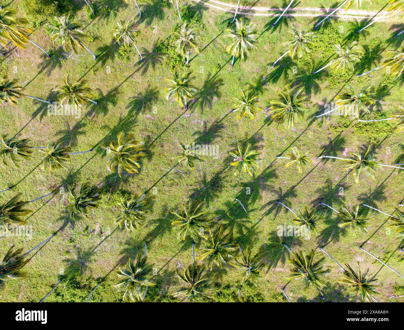 Aerial drone overhead oil field hi-res stock photography and images - Alamy