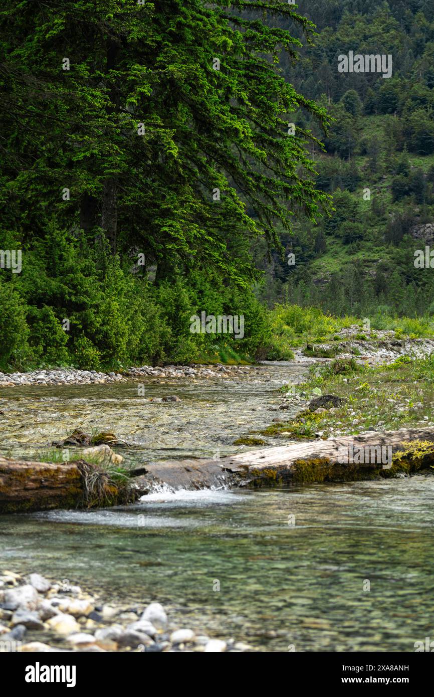 Captivating flow hi-res stock photography and images - Alamy
