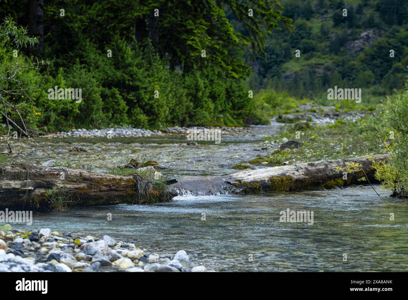 river water flow stones Stock Photo - Alamy