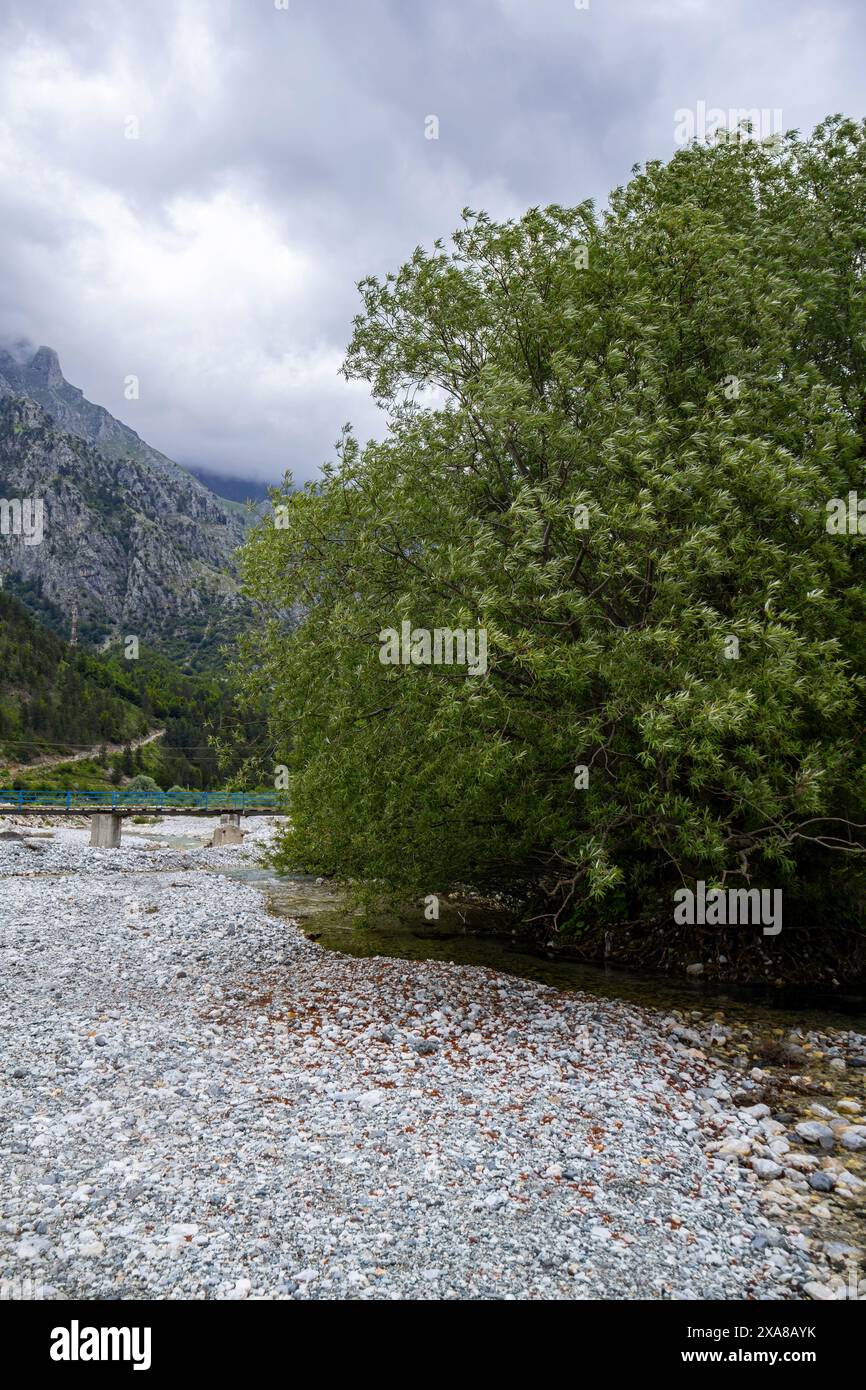 Virgin river landscape hi-res stock photography and images - Alamy