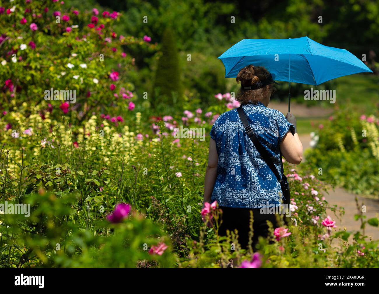 People enjoy a spell of hot weather as some sunbathe and others avoid ...