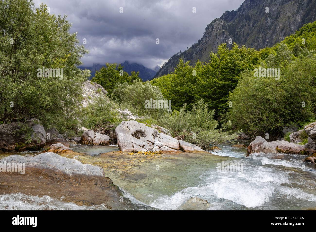 Greenery and river hi-res stock photography and images - Alamy
