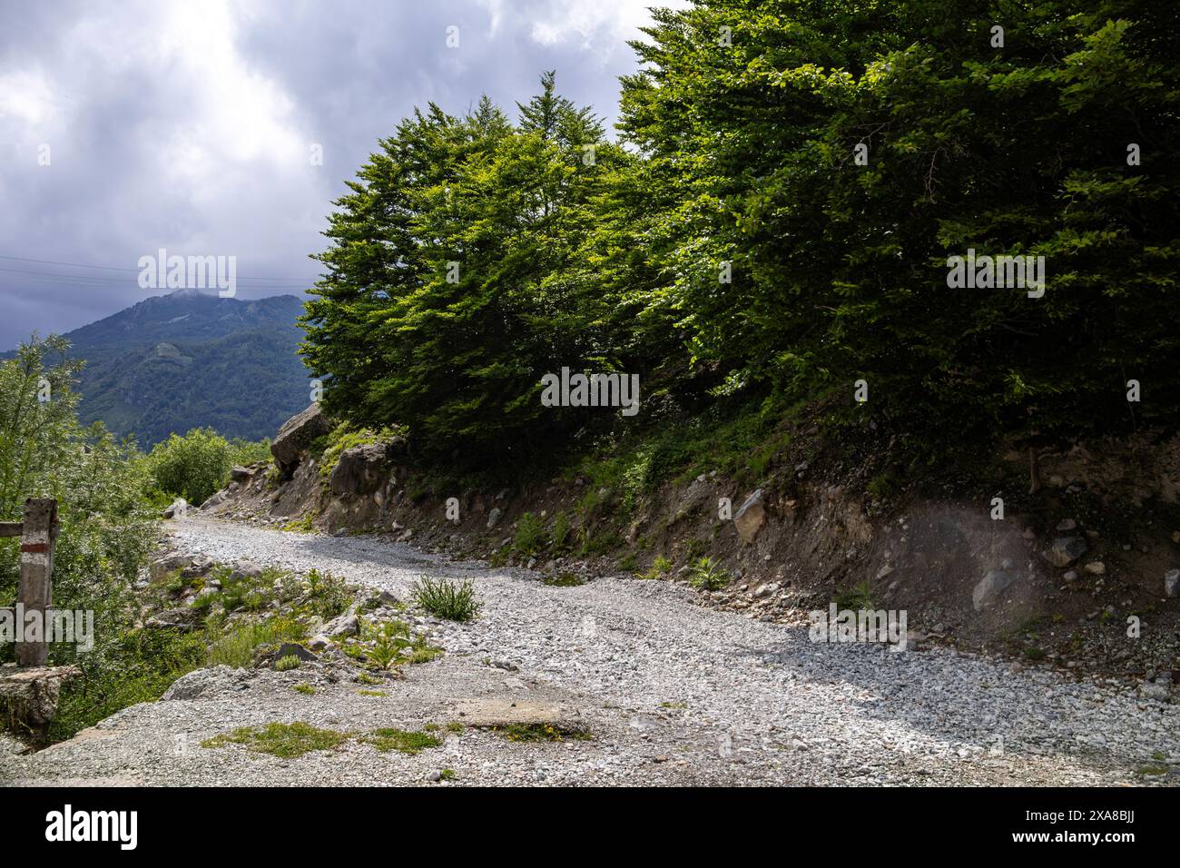 valbona park path Stock Photo - Alamy