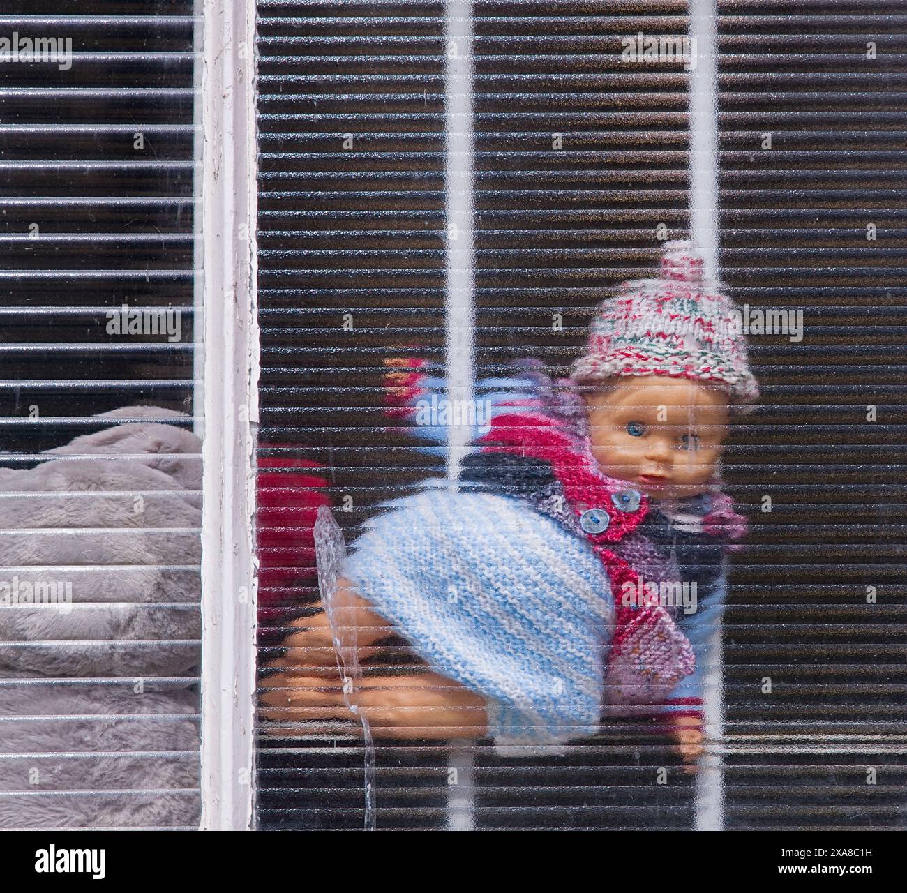 Stuck in window hi-res stock photography and images - Alamy