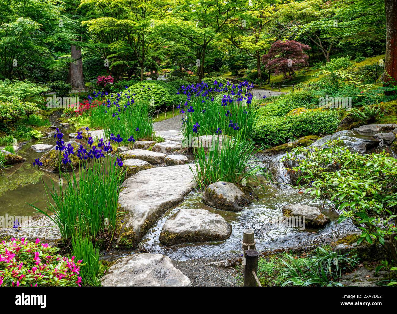 Morning chorus hi-res stock photography and images - Alamy