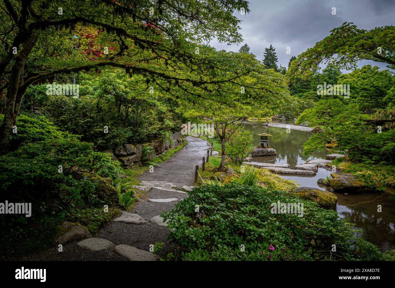 Shadows in the Garden Stock Photo - Alamy
