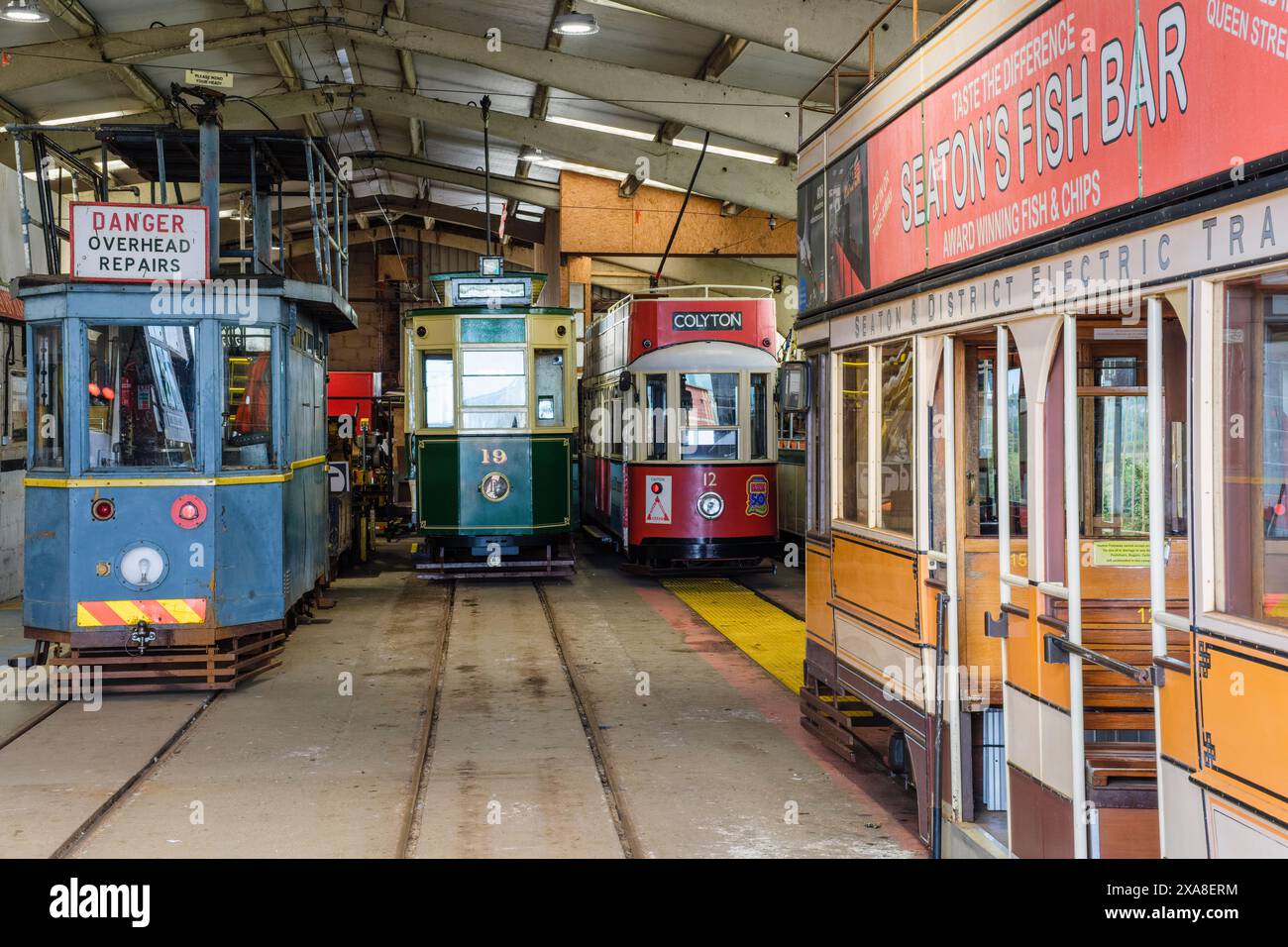 Trams in the Riverside Depot at Seaton Tramway, Seaton, Devon Stock ...