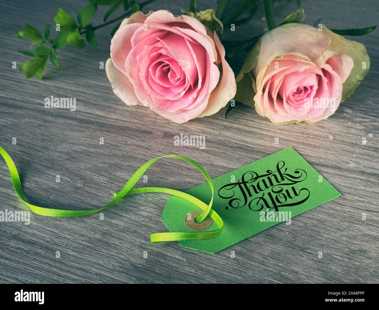 Thank You Card with Pink Roses and Green Ribbon on Wooden Table Stock ...