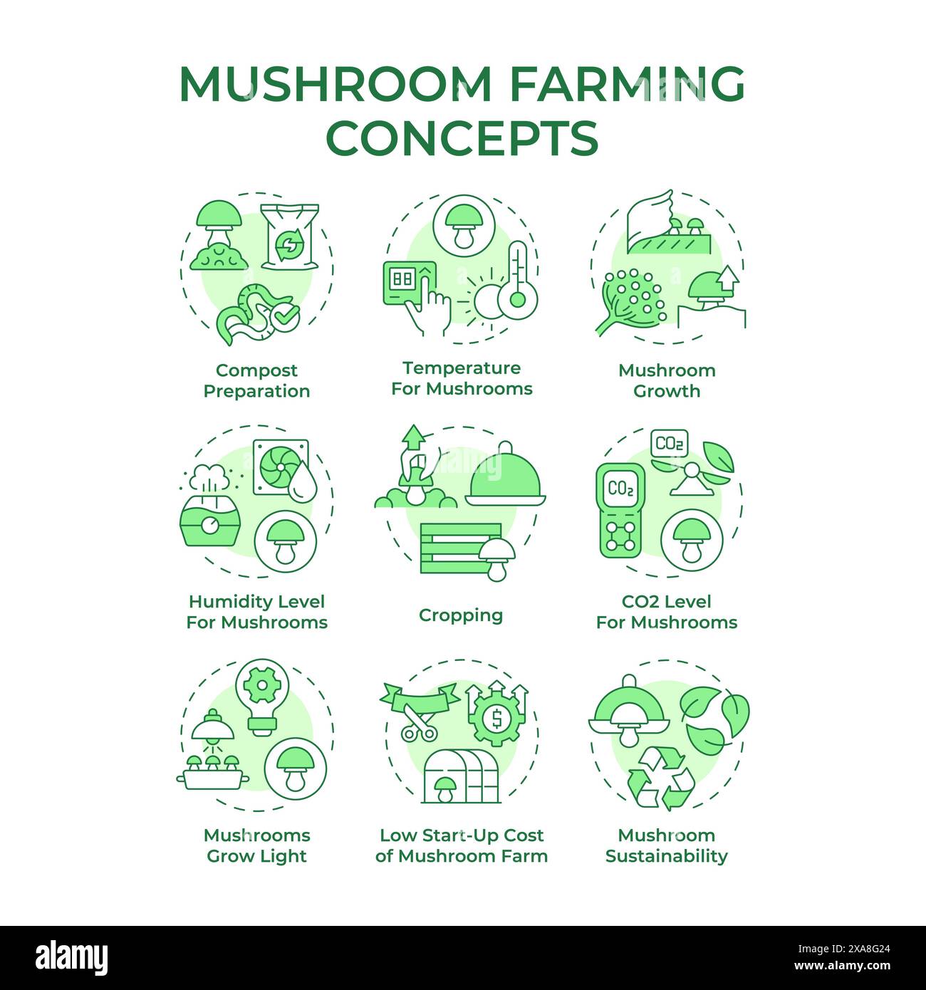 Mushroom farming soft green concept icons Stock Vector Image & Art - Alamy