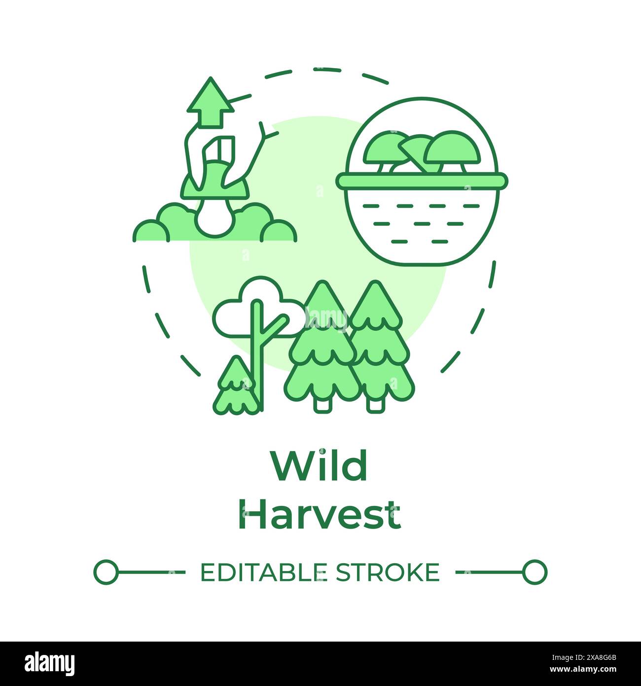 Wild harvest soft green concept icon Stock Vector Image & Art - Alamy