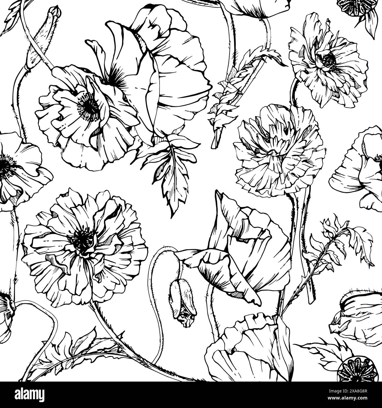 Hand Drawn Vector Graphic Botanical Illustration Flowers Leaves Red