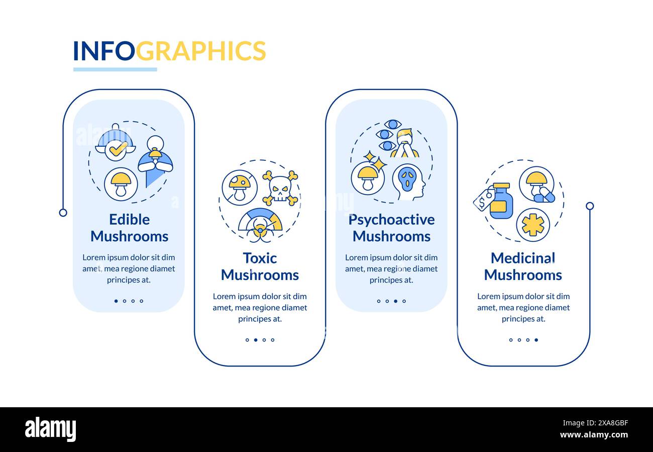 Mushroom types blue rectangle infographic template Stock Vector Image ...