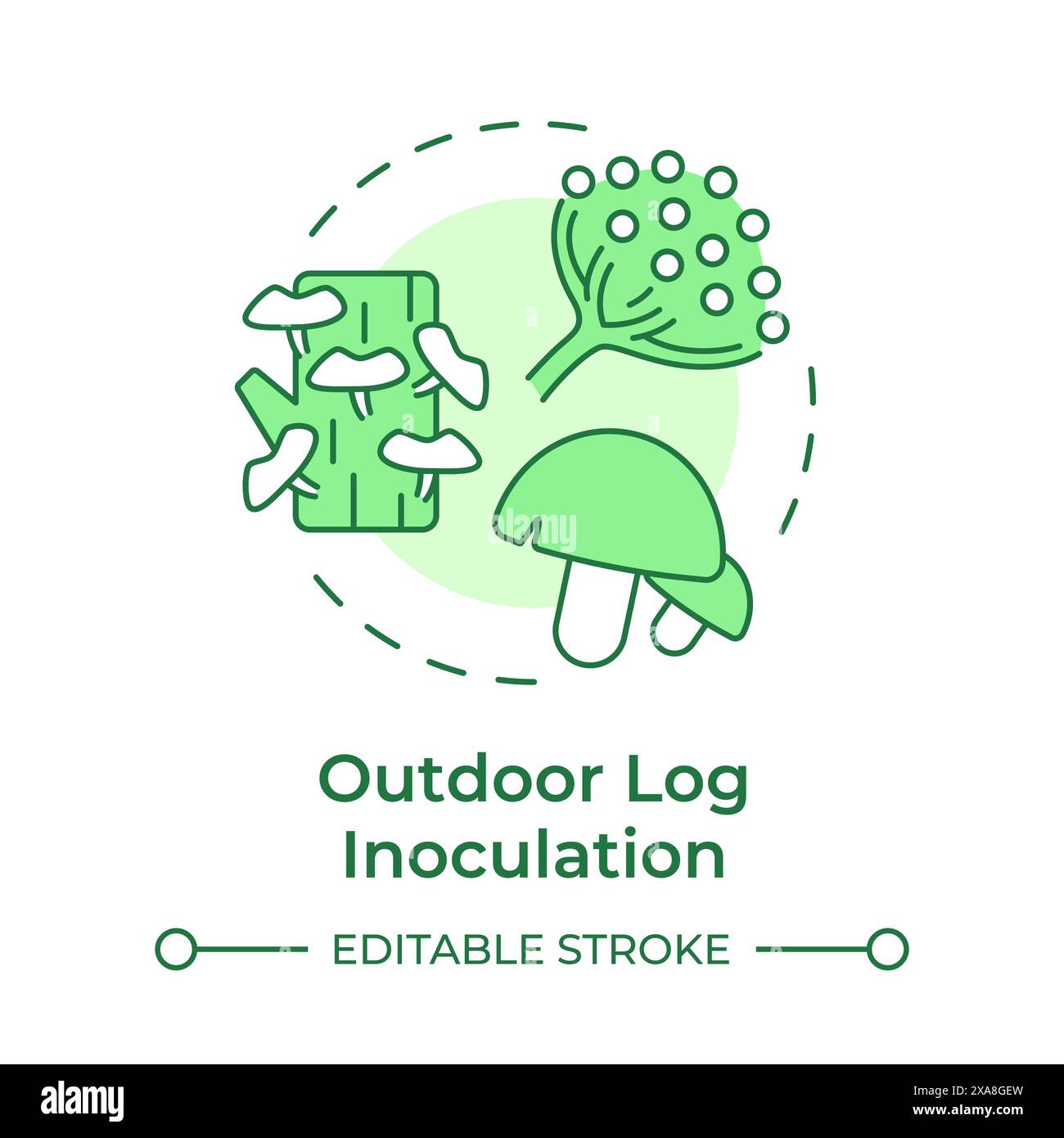 Inoculation technique Stock Vector Images - Alamy