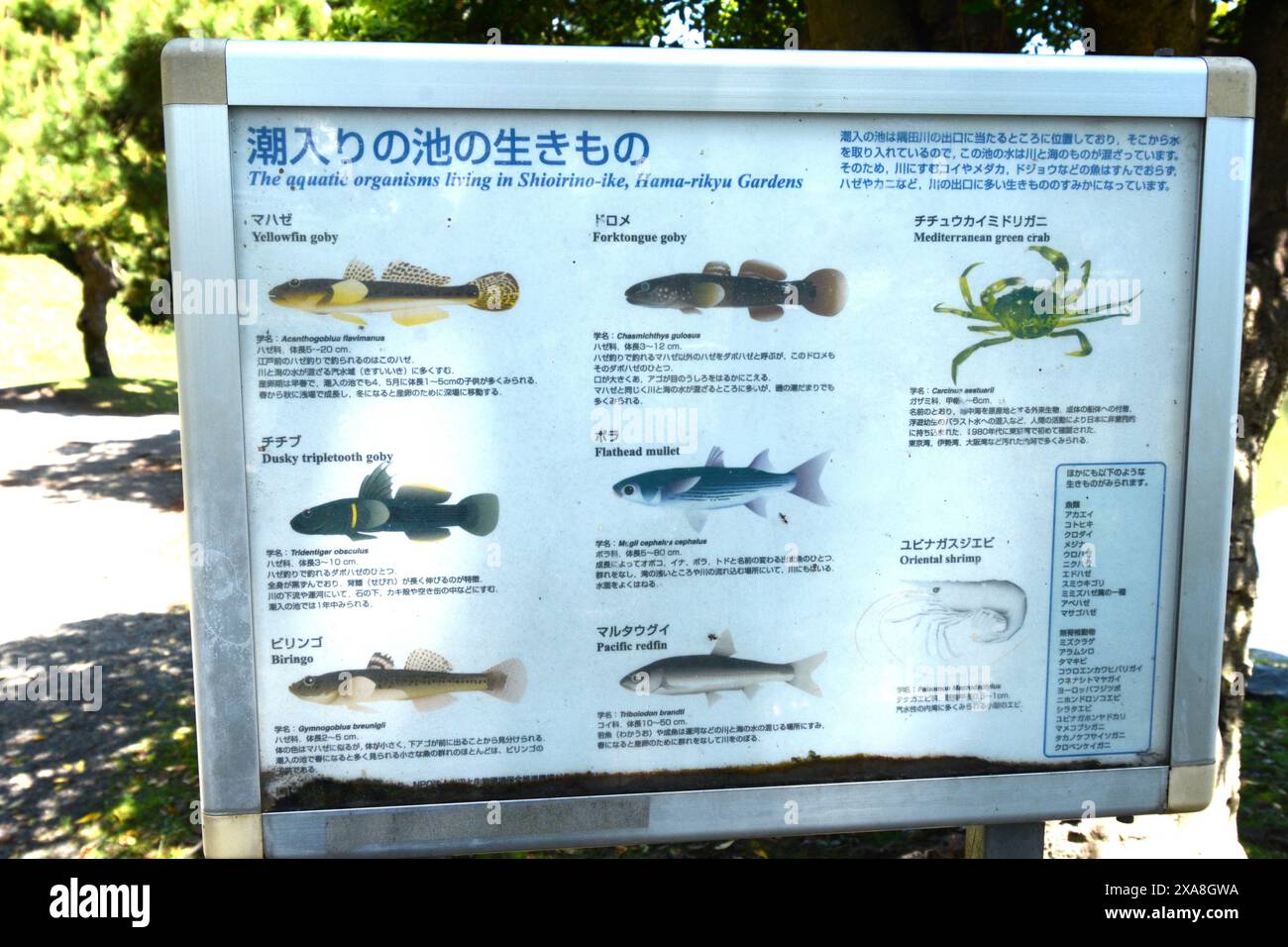 Park garden gardens Tokyo Japan Japanese island plants plant history ...