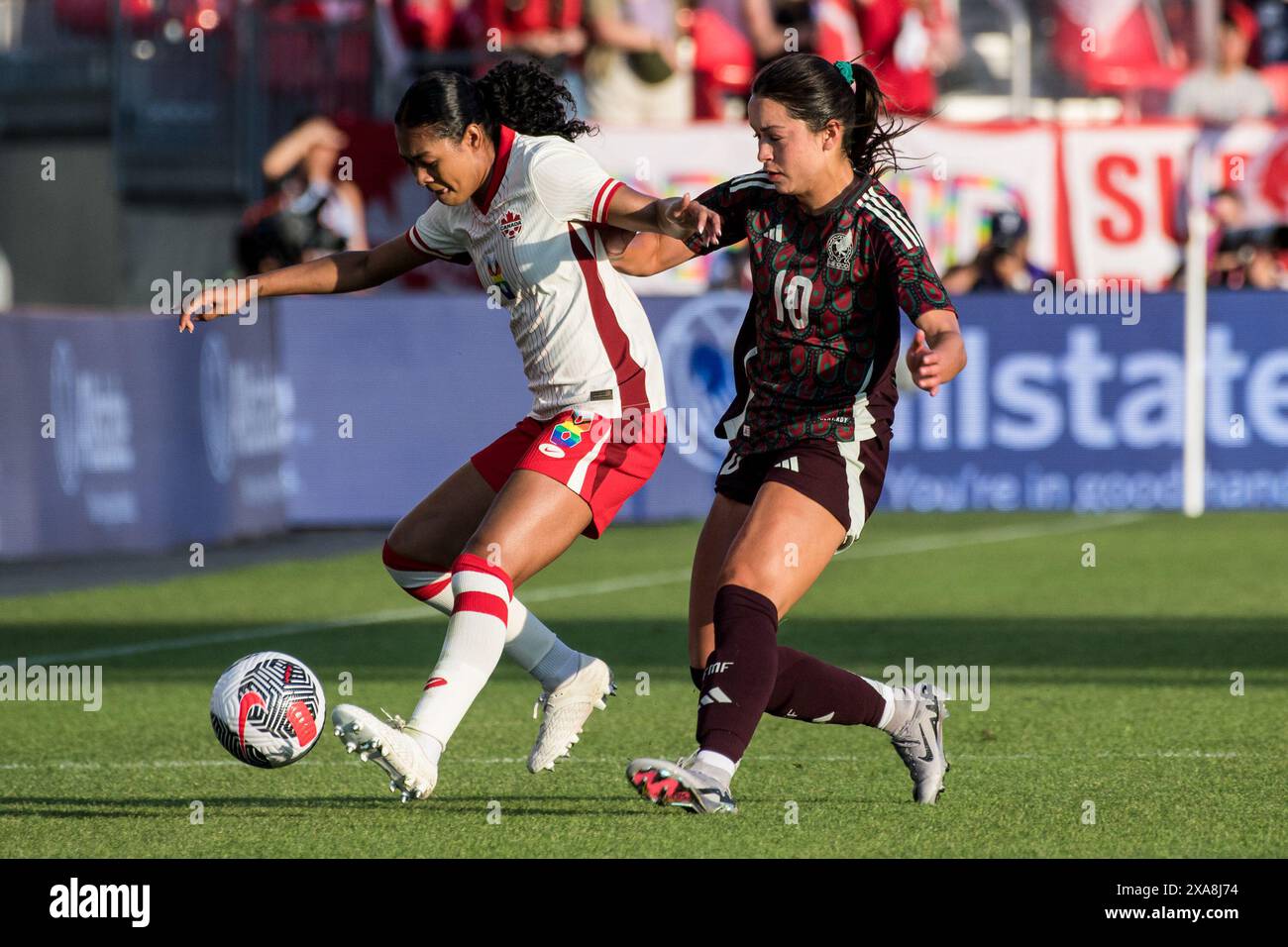 Scarlett camberos hi-res stock photography and images - Alamy