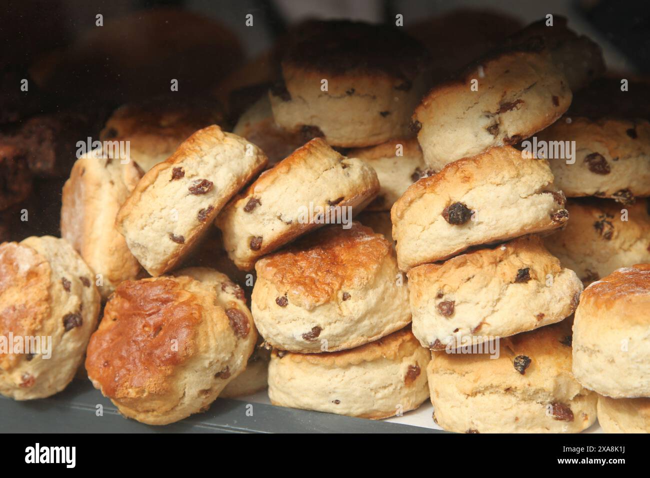 Scones in window St. Ives Bakery, Cornwall, England, UK, 2024 Stock ...