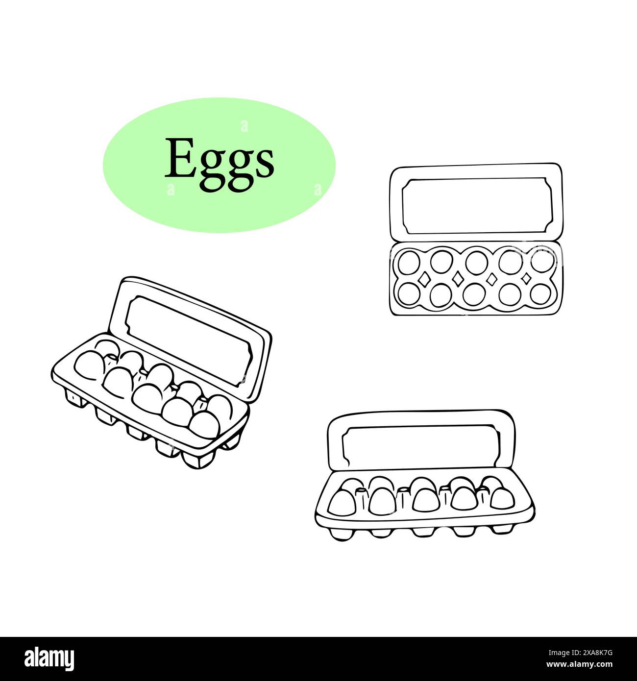 Hand-drawn Eggs in carton pack. Set of eggs in a pack in doodle style ...