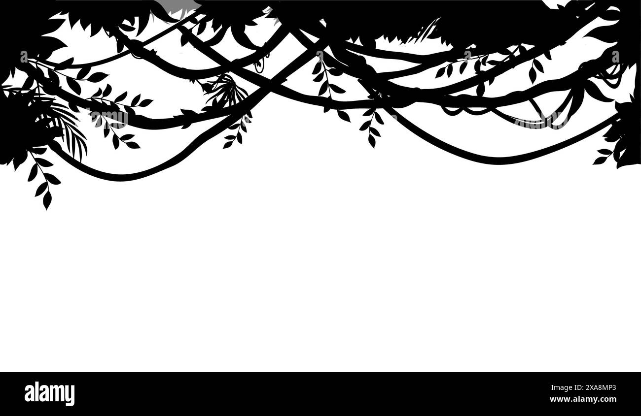 Tropical jungle liana branch vines silhouette on background, vector ivy ...