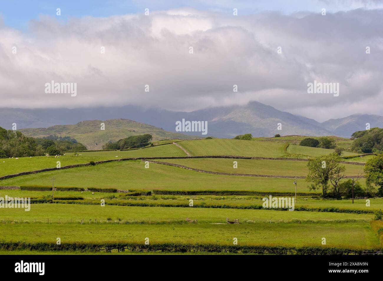 Green fells hi-res stock photography and images - Alamy