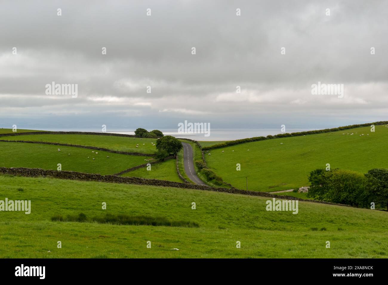 Winding road on hillside hi-res stock photography and images - Alamy