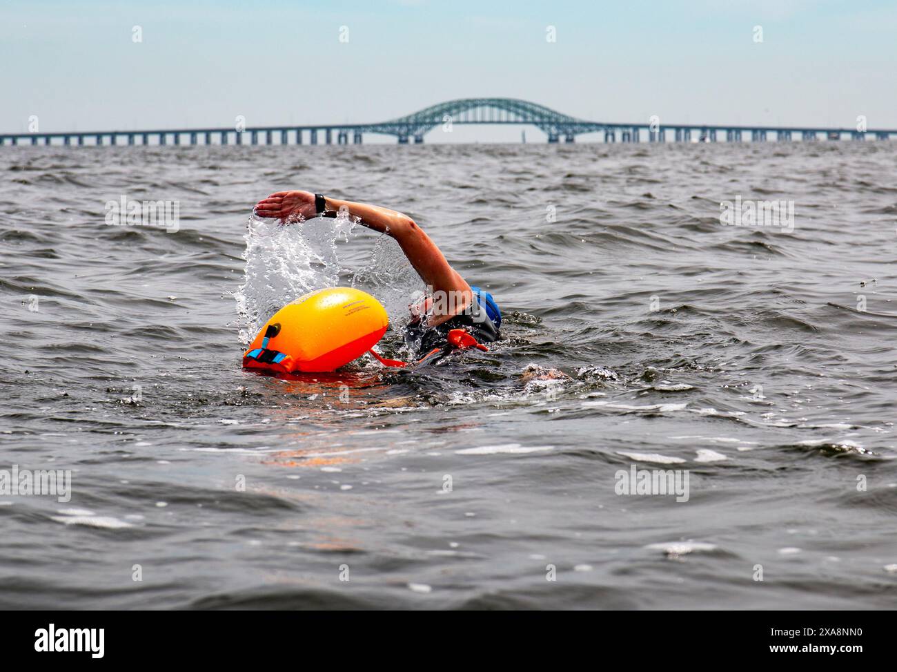 A lone swimmer close up with a bright orange, buoy attached to their ...
