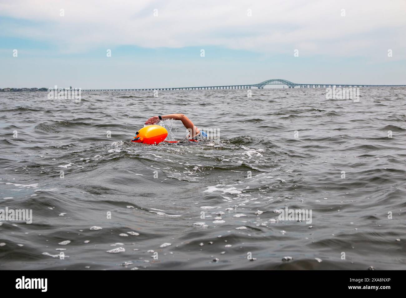 A lone swimmer with a bright orange, buoy attached to their waist ...