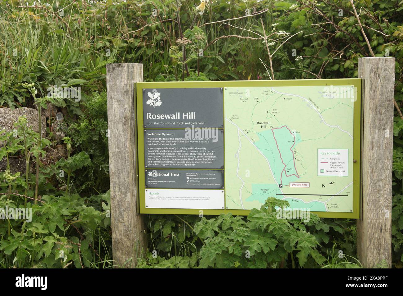 The National Trust sign, Rosewall Hill, St. Ives, Cornwall, England, UK ...