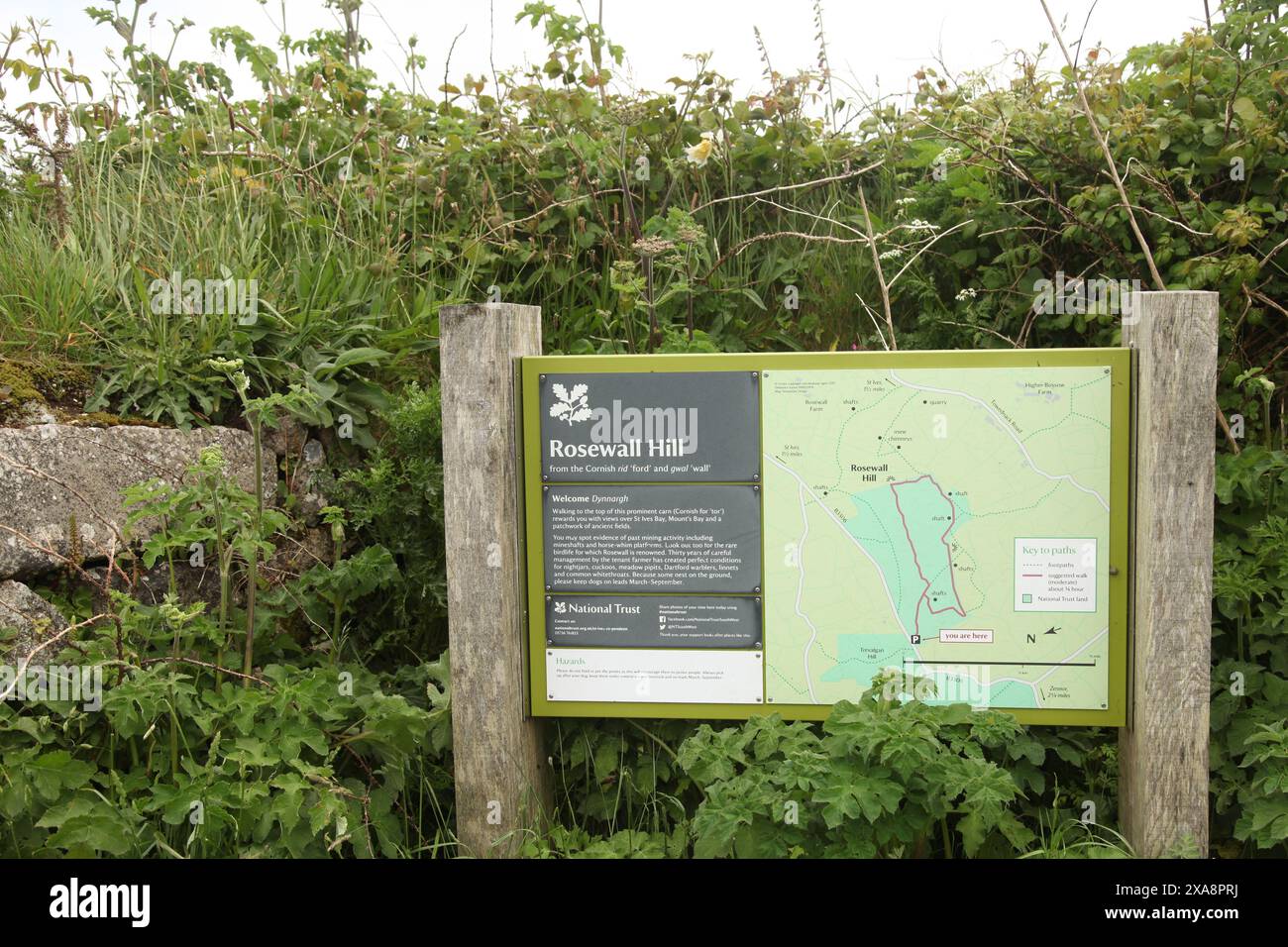 The National Trust sign, Rosewall Hill, St. Ives, Cornwall, England, UK ...