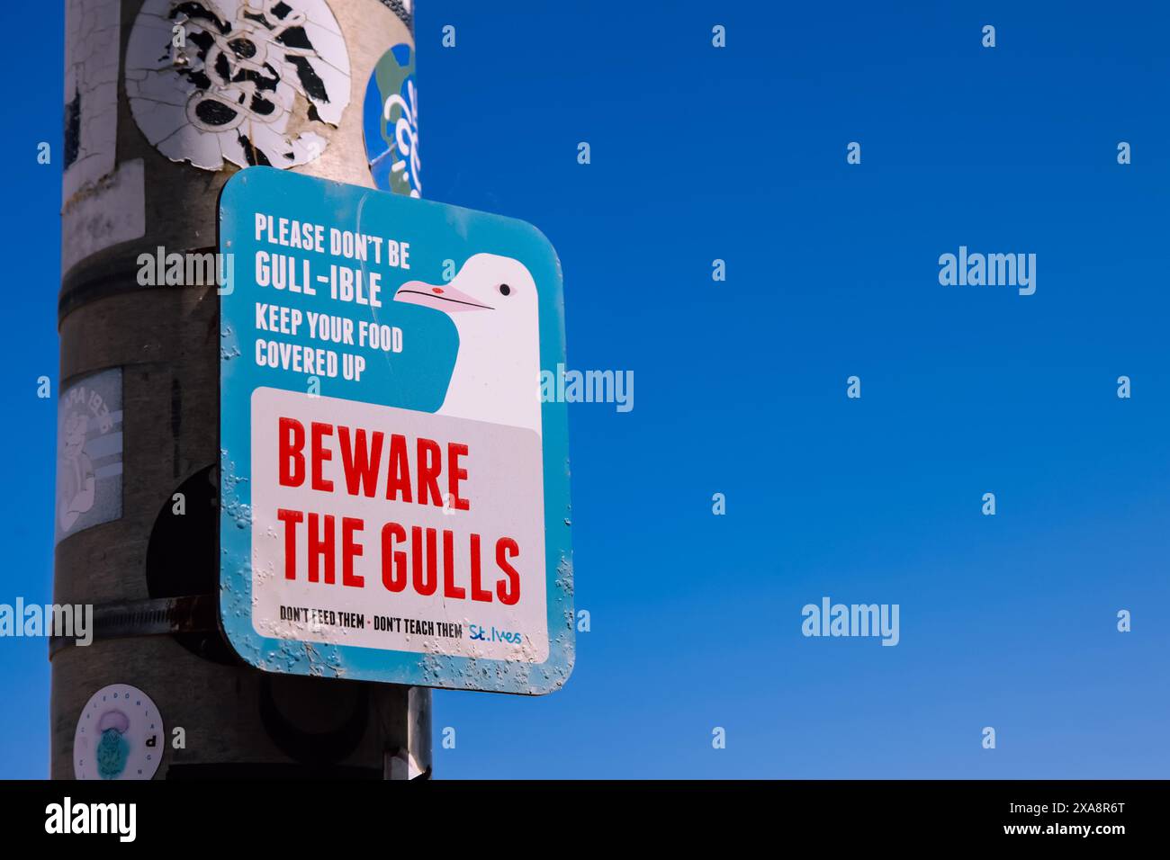 Beware of the Gulls, Seagull warning sign, St. Ives, Cornwall, England ...