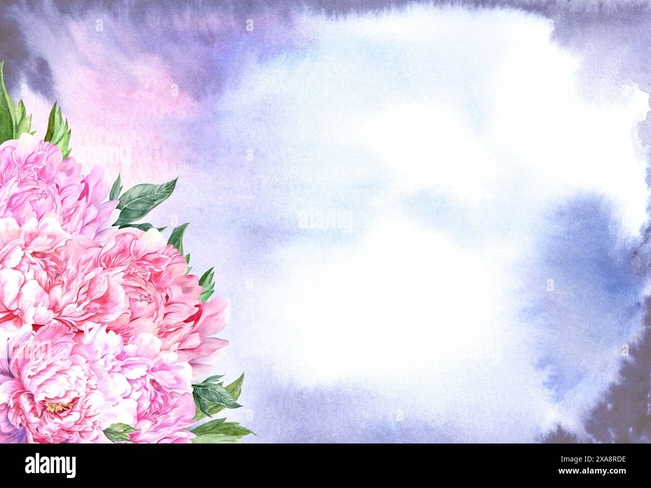 Bouquet of peonies painted in watercolor against a blue sky Stock Photo ...