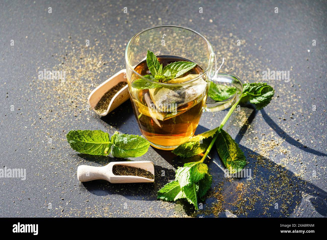 peppermint, hybrid-peppermint (Mentha x piperita, Mentha piperita, M ...