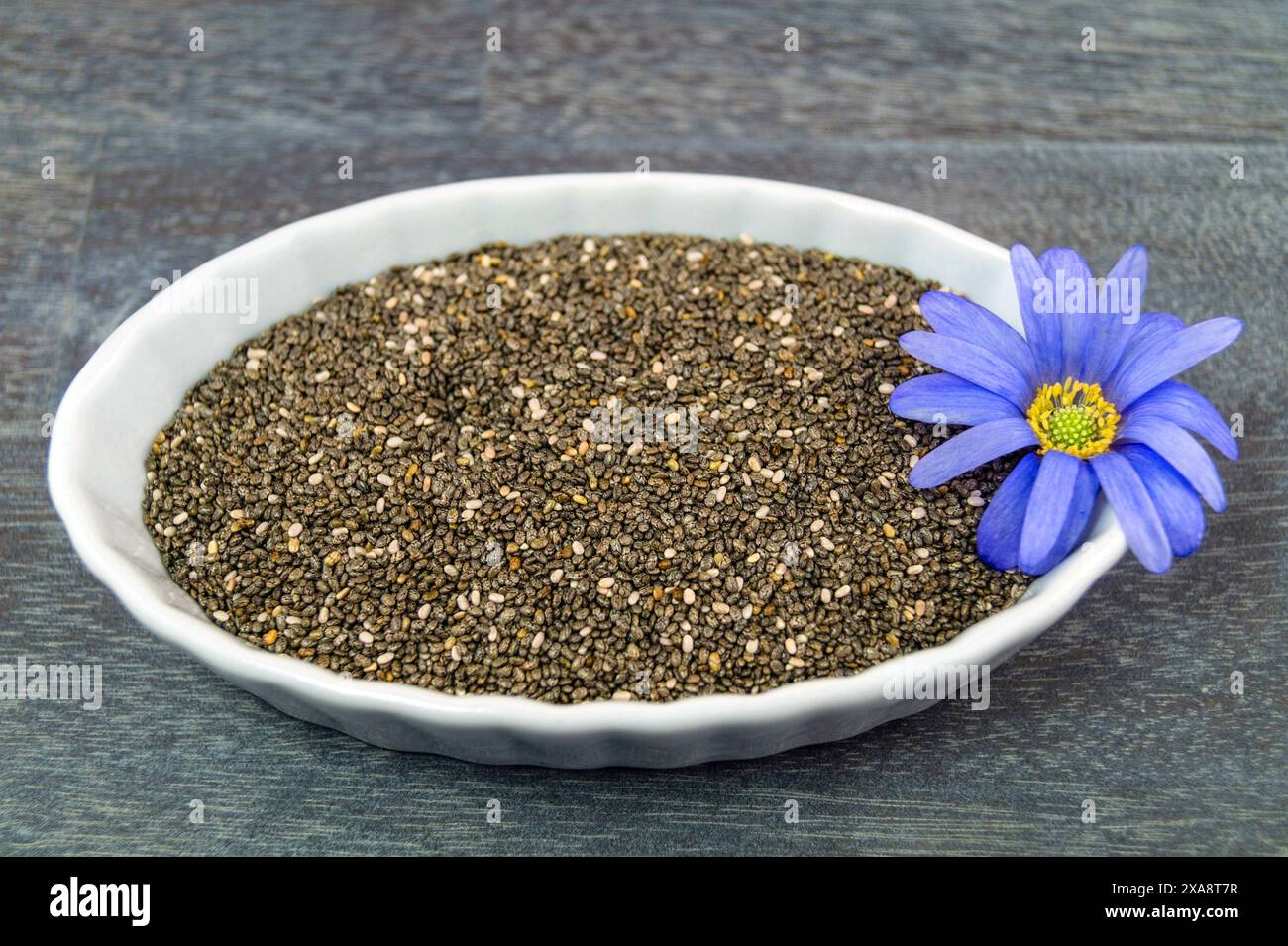 chia sage, chia (Salvia hispanica), Chia seeds in a bowl with a blue ...