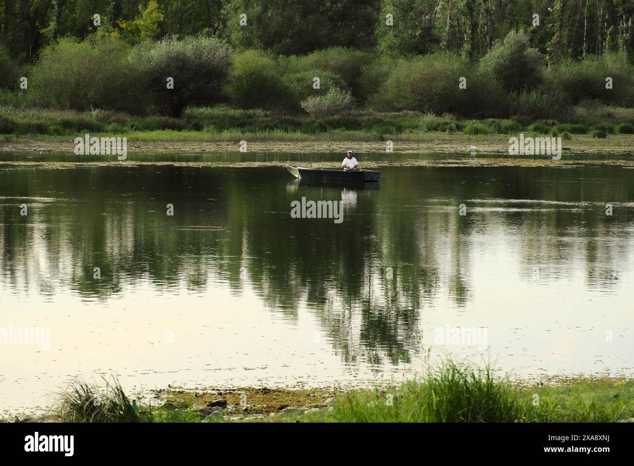 Backo novo selo hi-res stock photography and images - Alamy