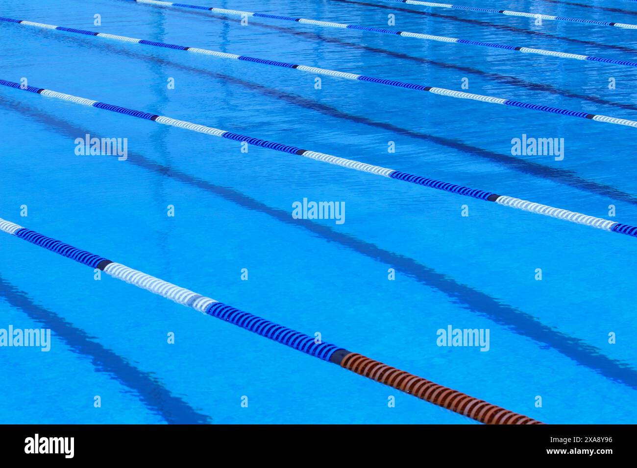 empty Olympic swimming pool , blue water , rope pool dividers design ...