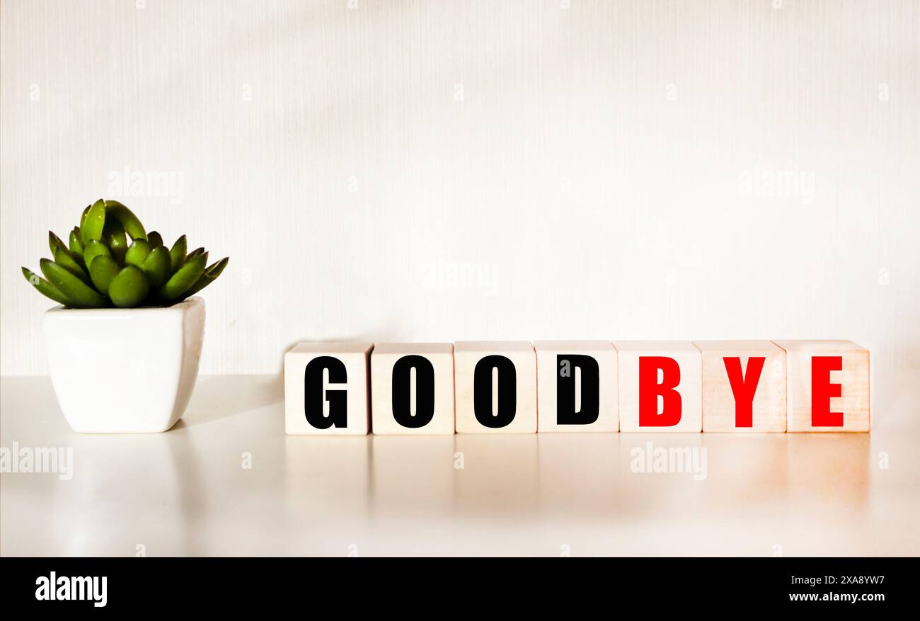 Word Goodbye on wooden blocks and light background with flower Stock ...