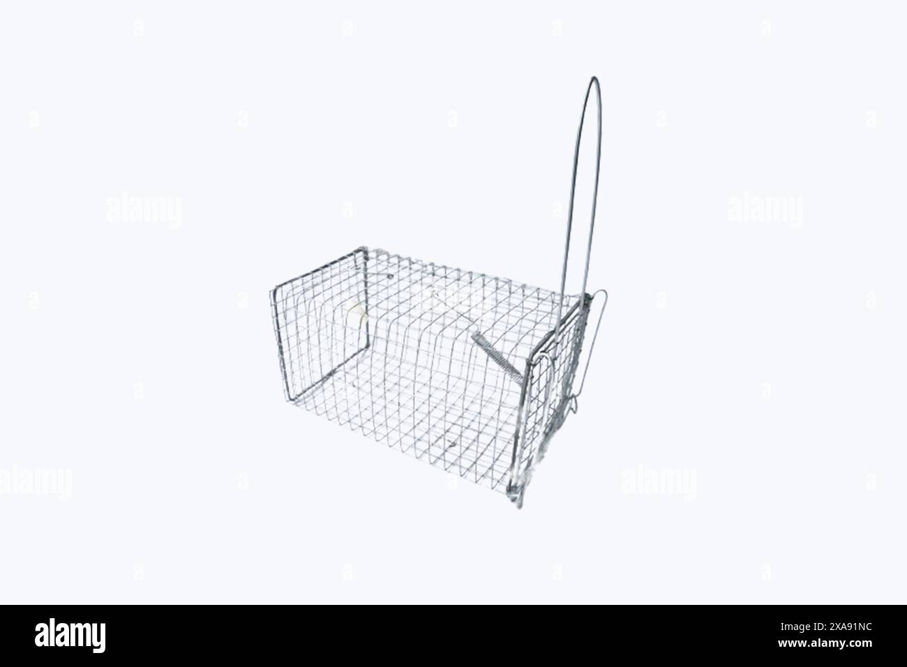 Mouse Trap Isolated On White Background Human Mouse Trap Cage With Cracker For Bait Humane Catch