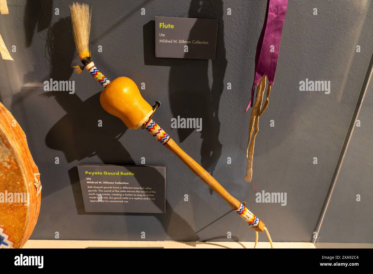 Replica peyote gourd rattle. Ute Indian Culture, BYU Museum of Peoples ...