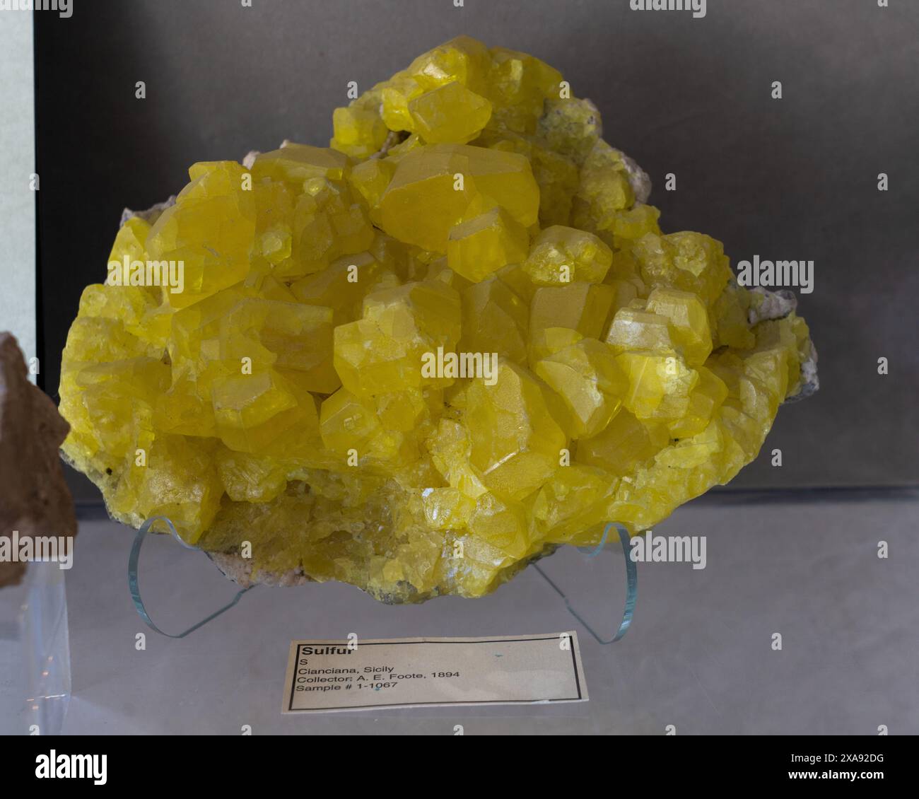 A specimen of sulphur crystals in the Museum of Paleolontolgy at ...