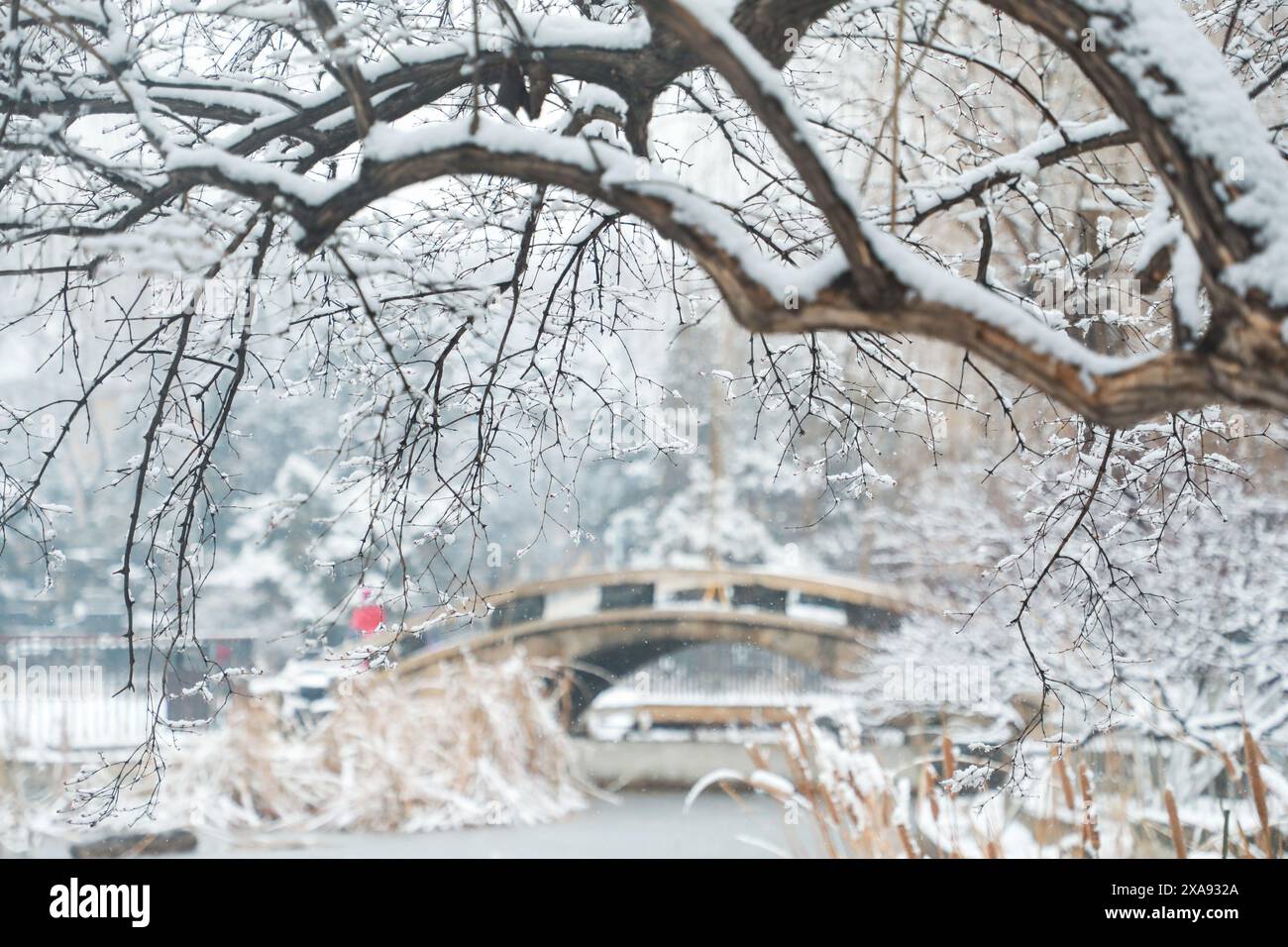 Beijing urban park snow hi-res stock photography and images - Alamy
