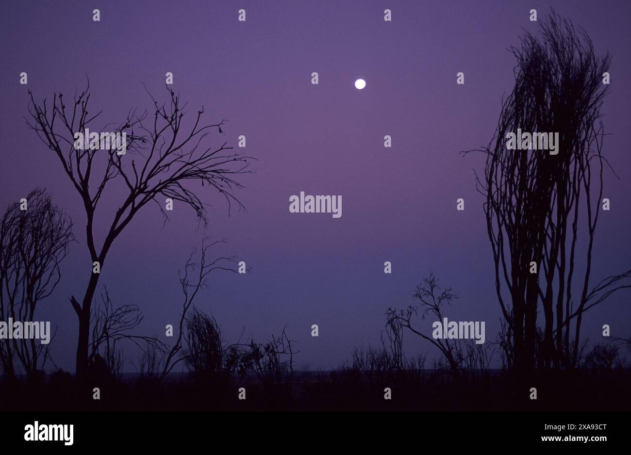 Full moon in outback Australia Stock Photo - Alamy