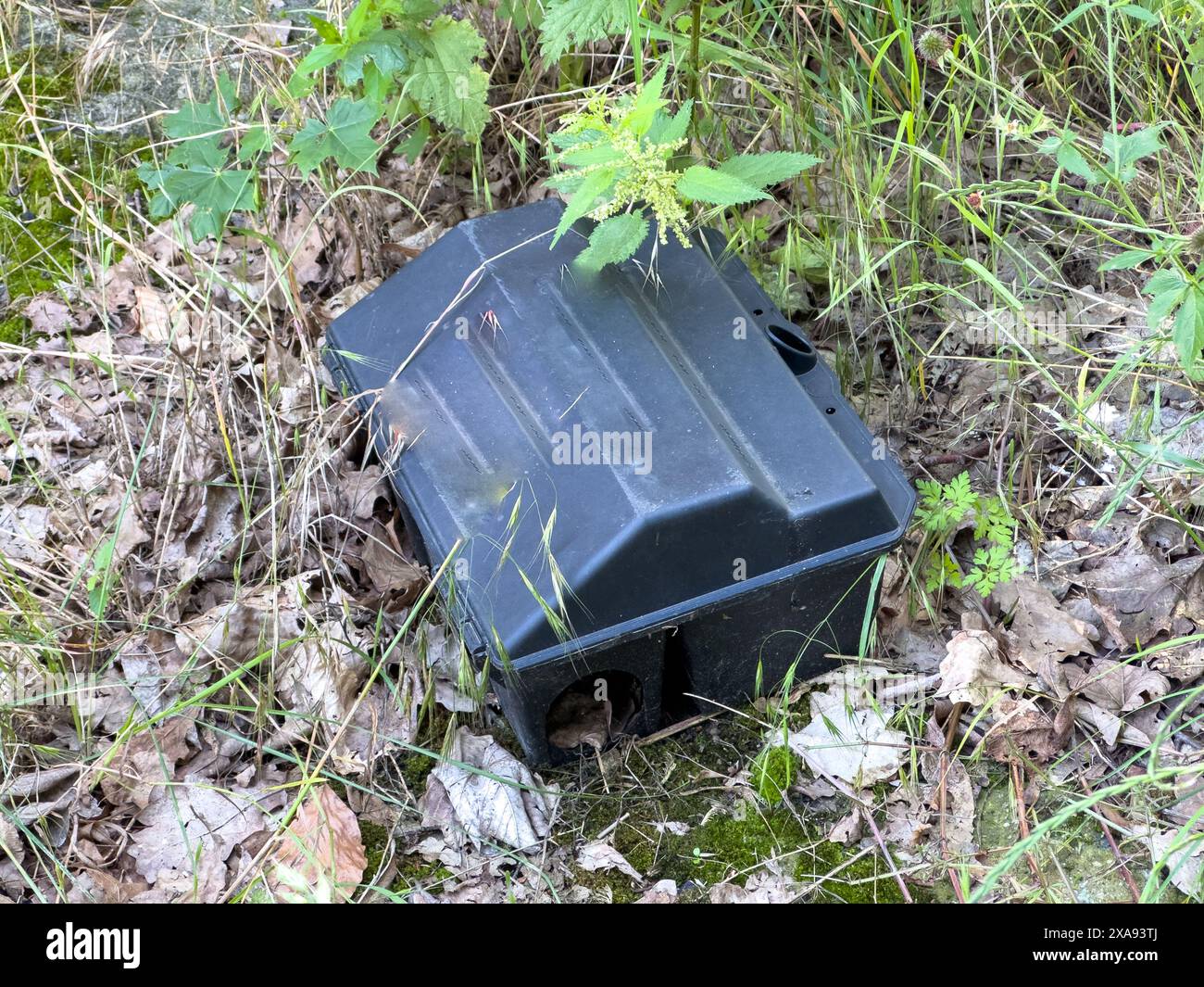 Box for pest control, rats and mice Stock Photo - Alamy