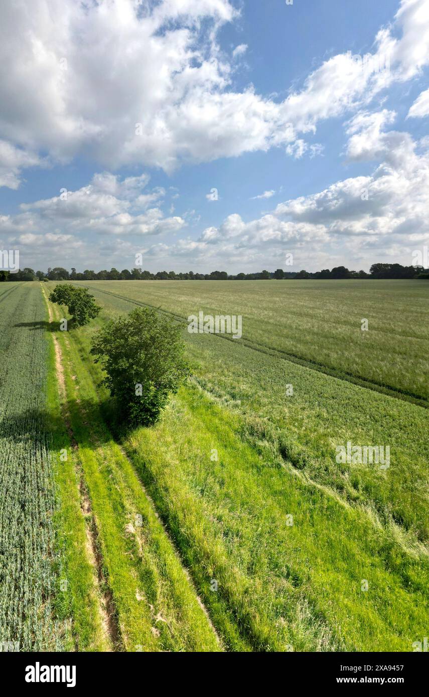 Aerial view of a footpath across arable farmland near the village of ...